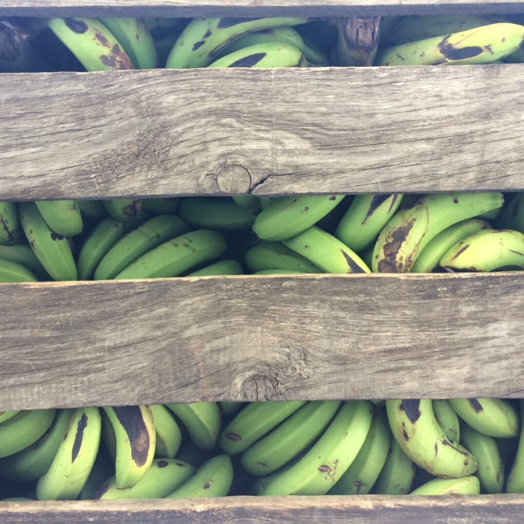 Discover Cuban Street Food in Cuba (See Photos)