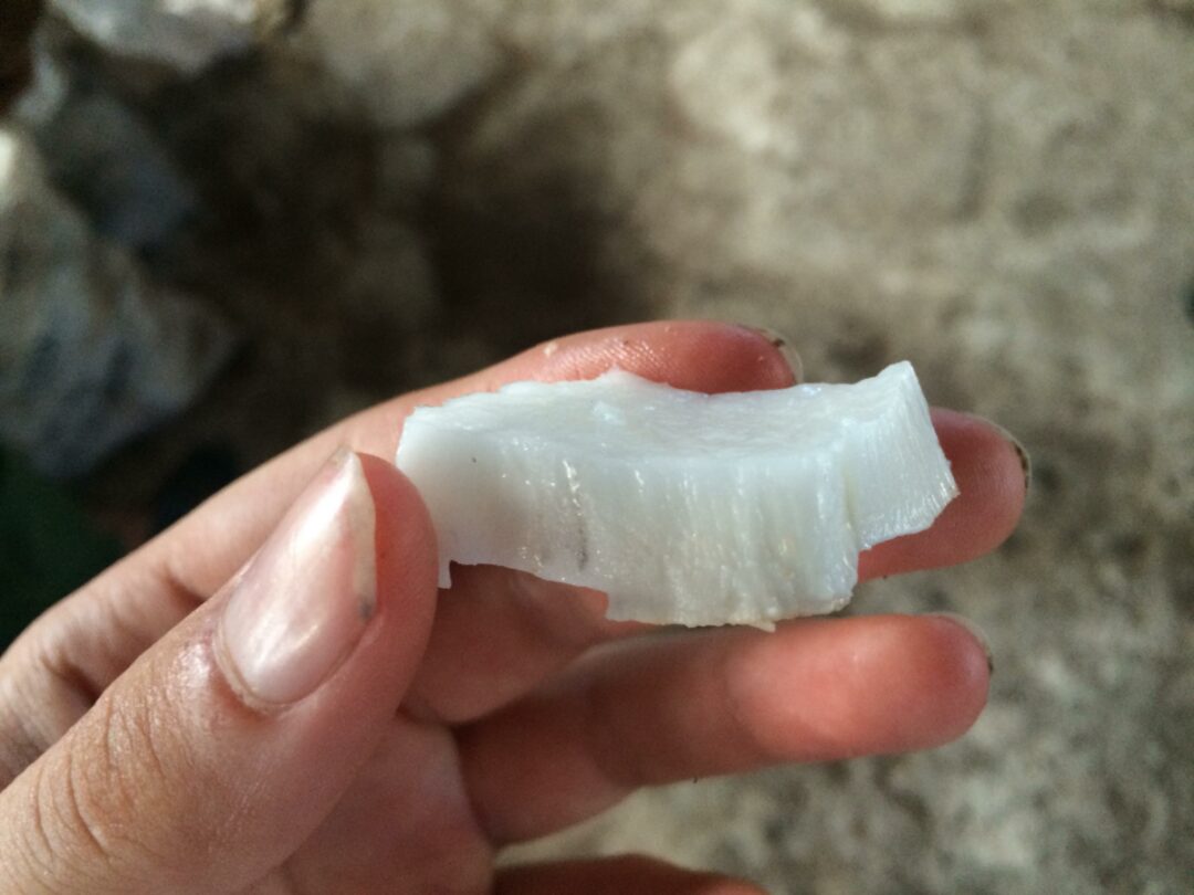 13 Best Cocoa Butter Substitutes (Divided By Use)