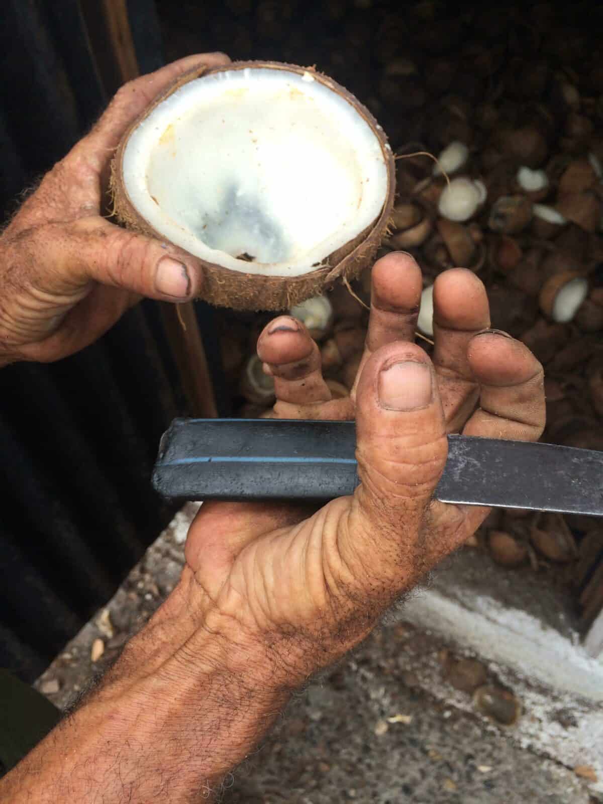 Cuban Chocolate & Cacao Culture in Baracoa