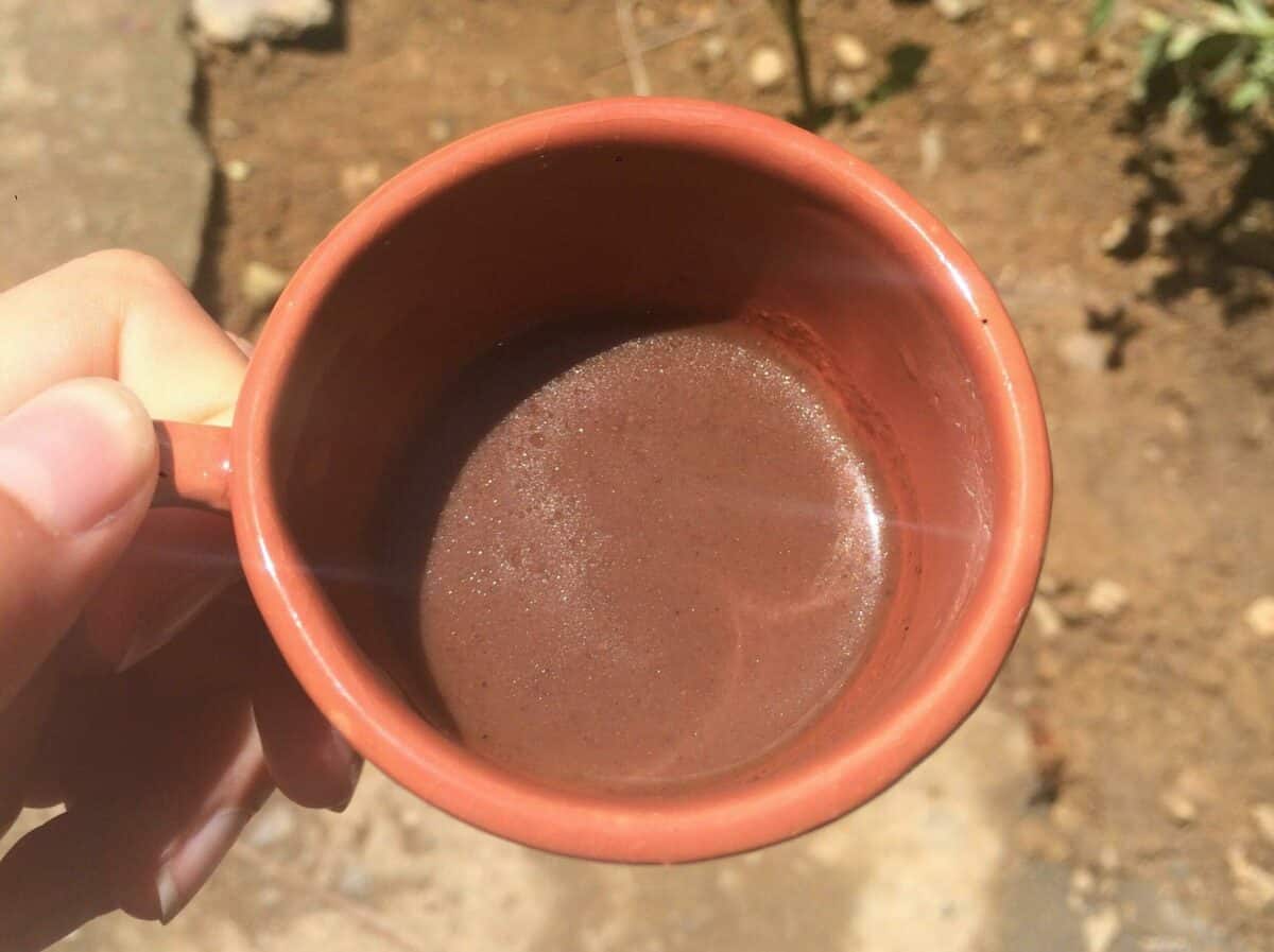 Cuban Chocolate & Cacao Culture in Baracoa