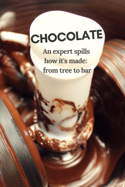 How is Chocolate Made? (12 Steps With Pictures)
