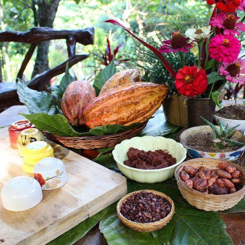 What is Ceremonial Cacao? (About Holding a Cacao Ceremony)