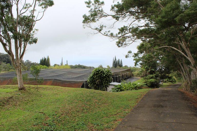 How To Visit A Vanilla Farm In Hawaii