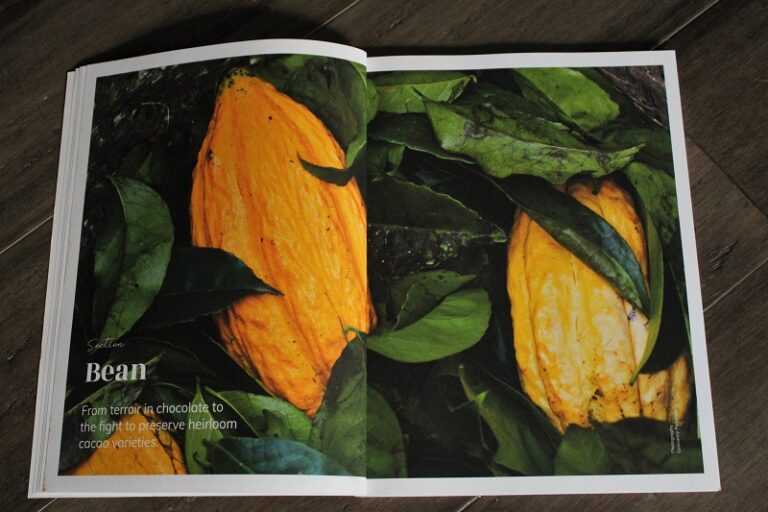 21 Books About Chocolate & Cacao (For Every Level)