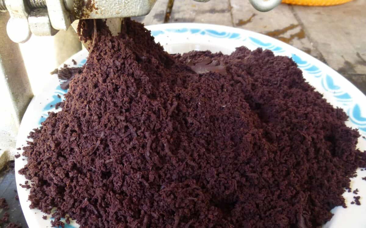 The History of Chocolate: Who Invented Chocolate?