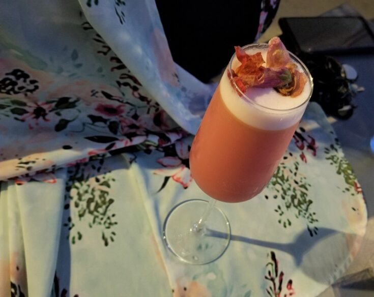 13 Best Denver Chocolate Shops & Companies