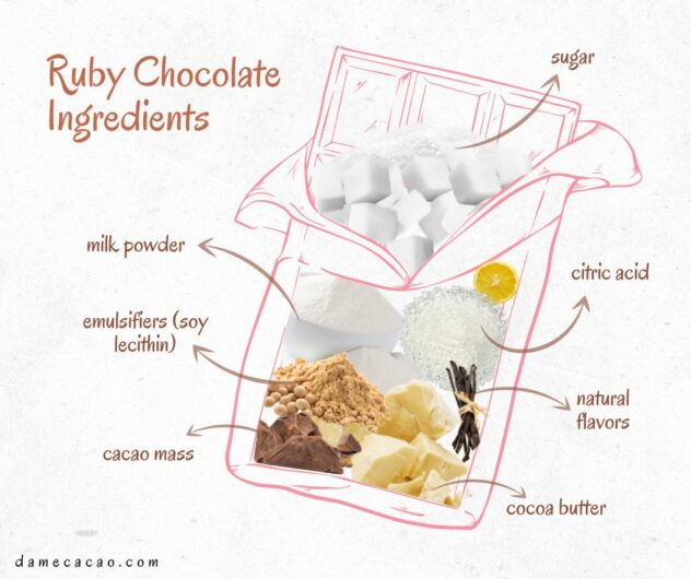 6 Unique Ruby Chocolate Recipes (Beginner to Expert)