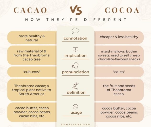 Cacao vs Cocoa: How They're Different (Expert Reveals)