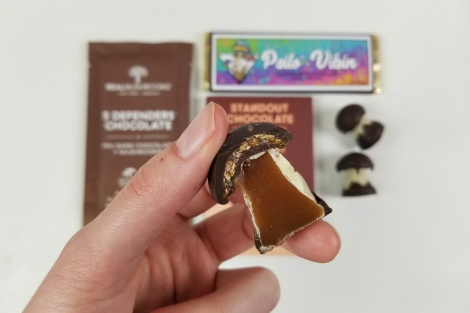Chocolate Mushroom Candy (Brands and Origins)