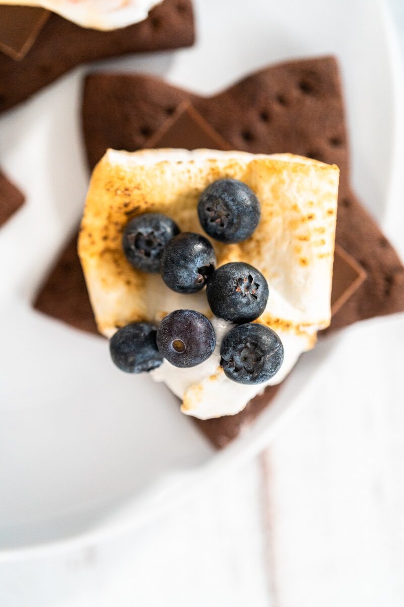 17 Best S'mores Ideas (for Unforgettable Summer Treats!)
